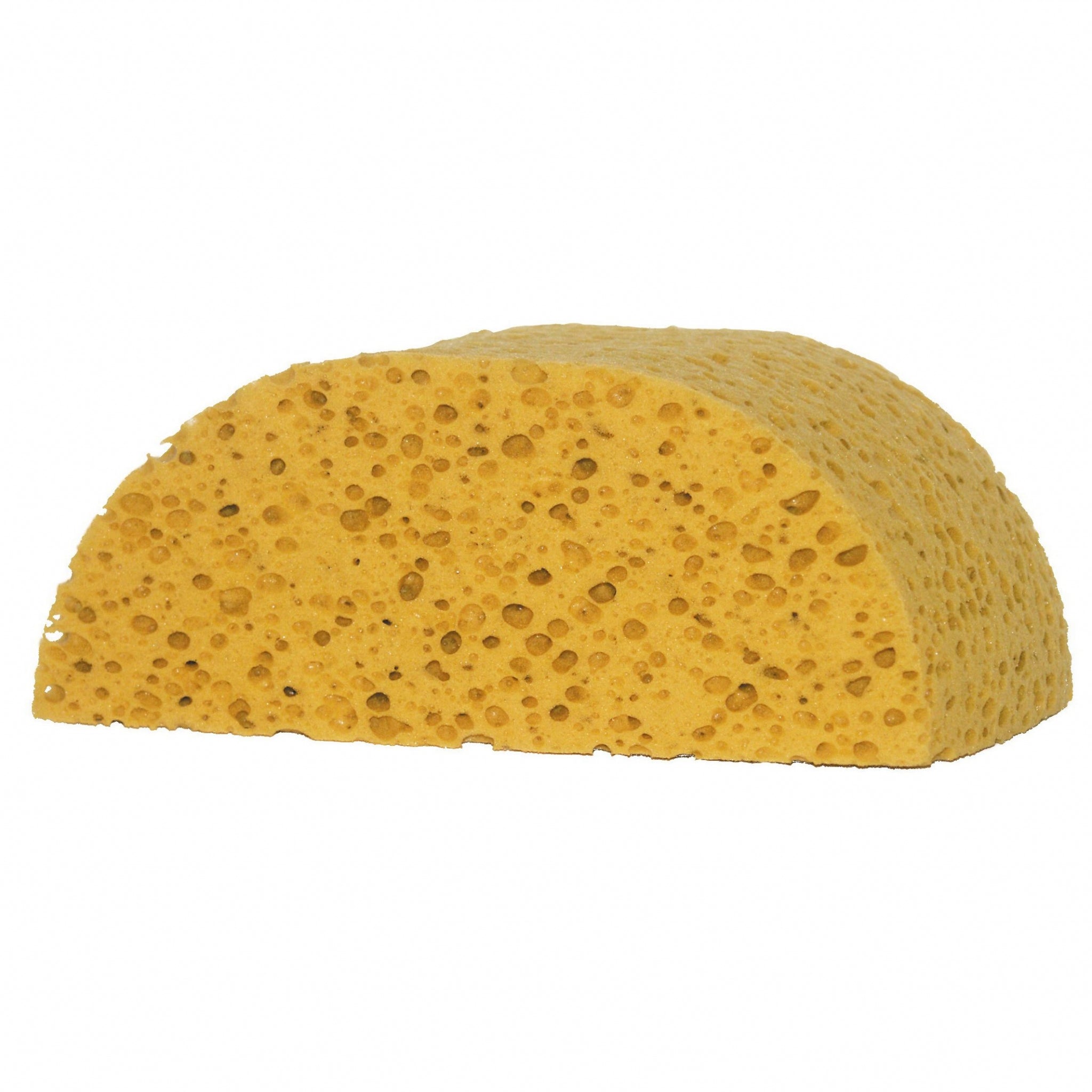 Humpback Synthetic Sponge– Horse.com