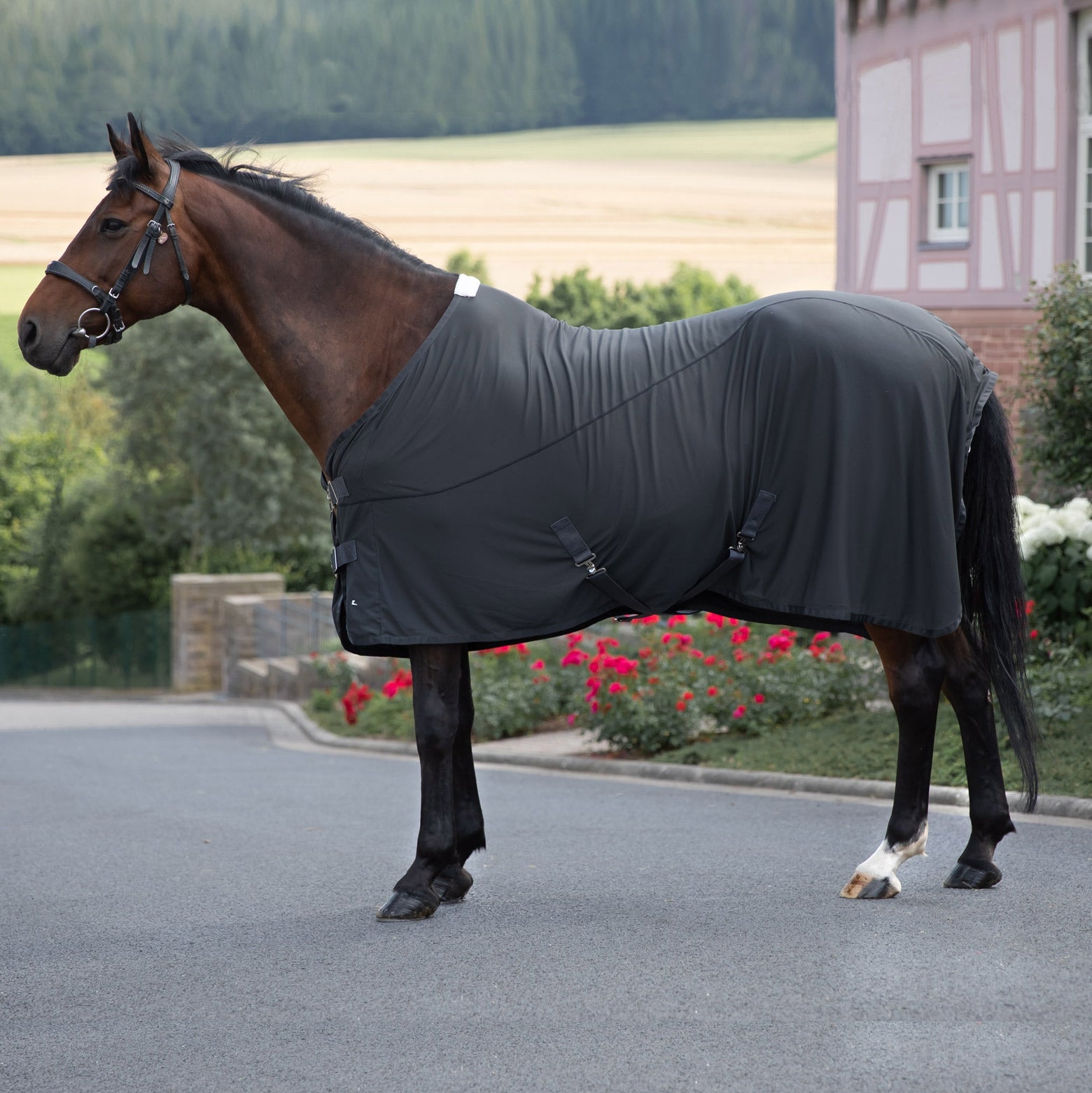 Horze Cool Tech Mesh Sheet– Horse.com