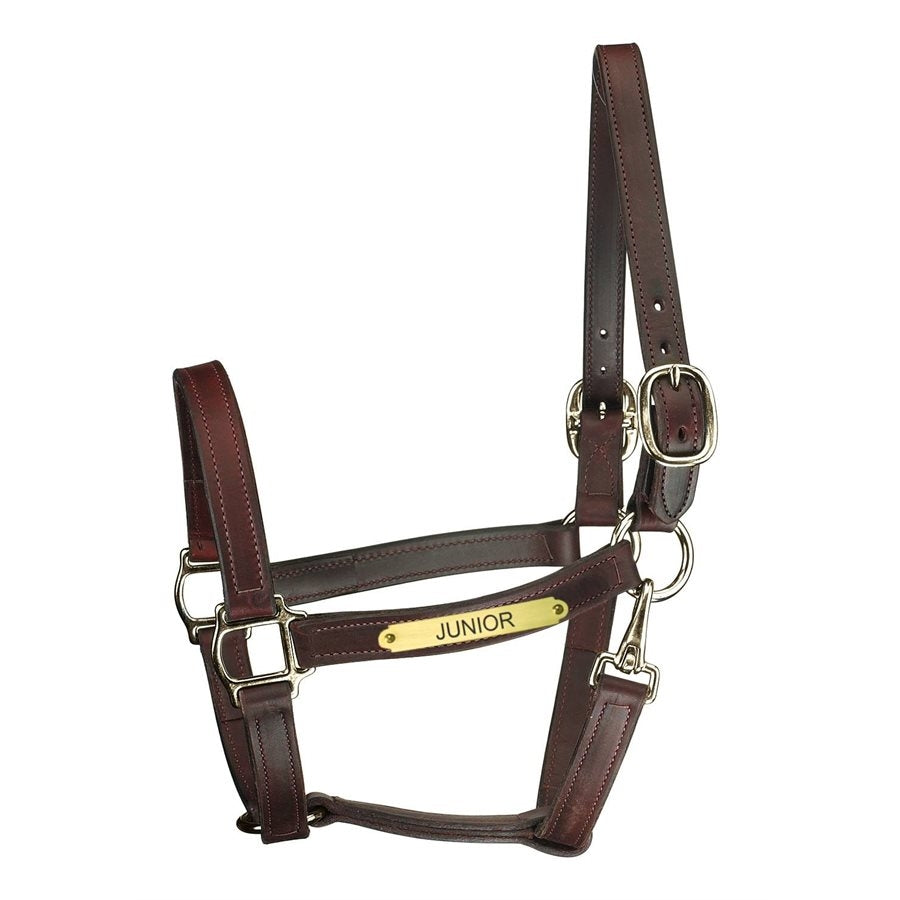 Perri's Personalized 1" Track Style Turnout Snap Halter– Horse.com
