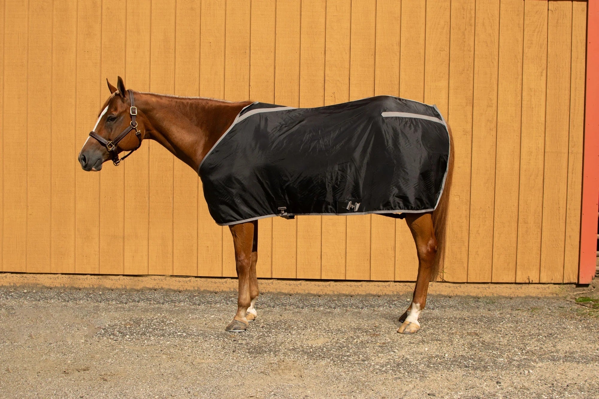 TuffRider Shelter Closed Front Stable Sheet– Horse.com
