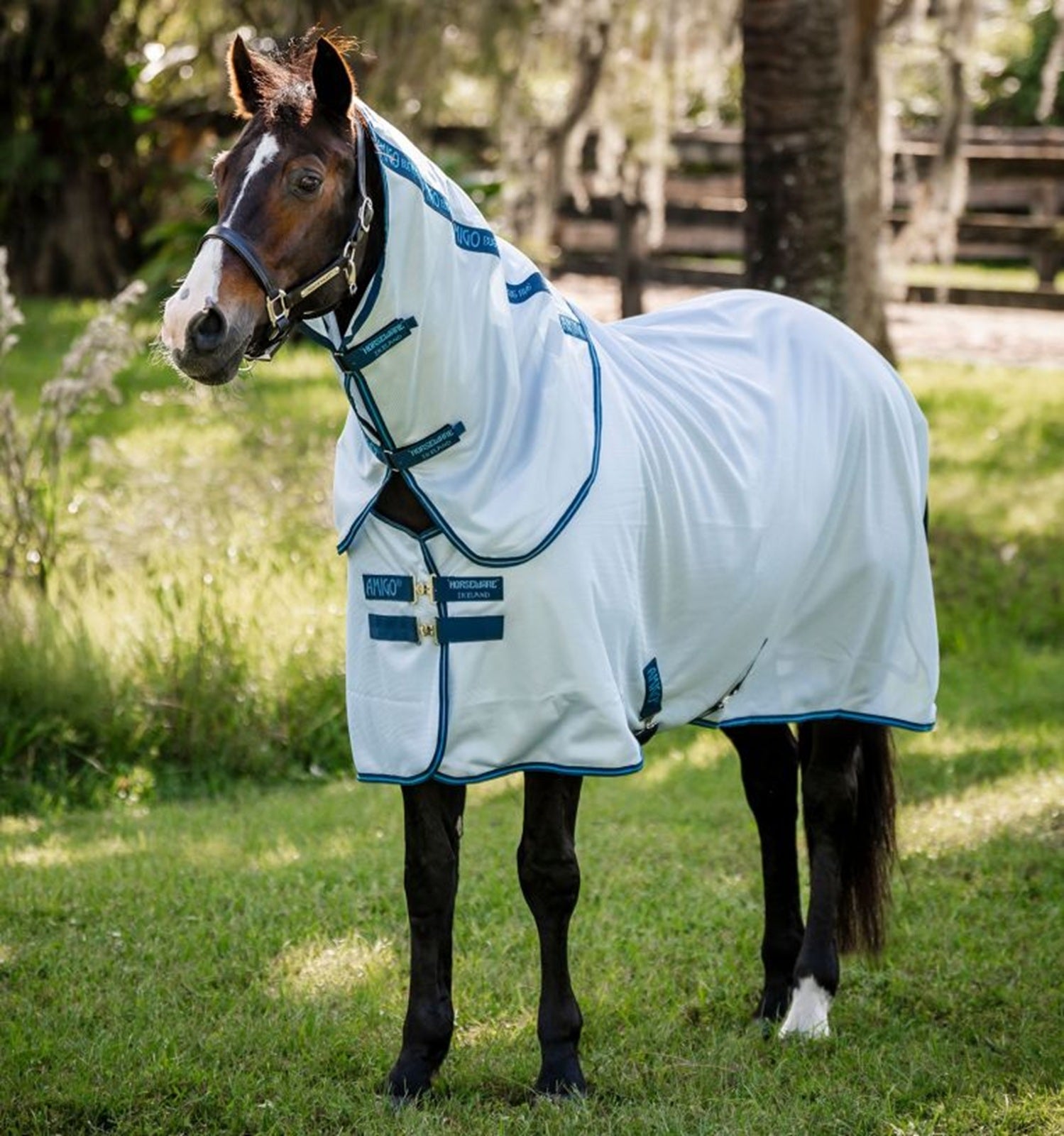 Amigo Bug Rug XL Plus Fly Sheet– Horse.com