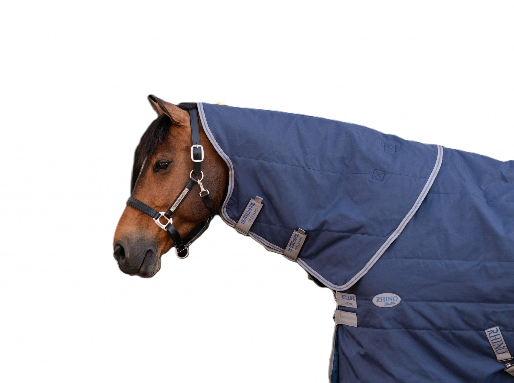 Rhino Stable Hood 100g– Horse.com