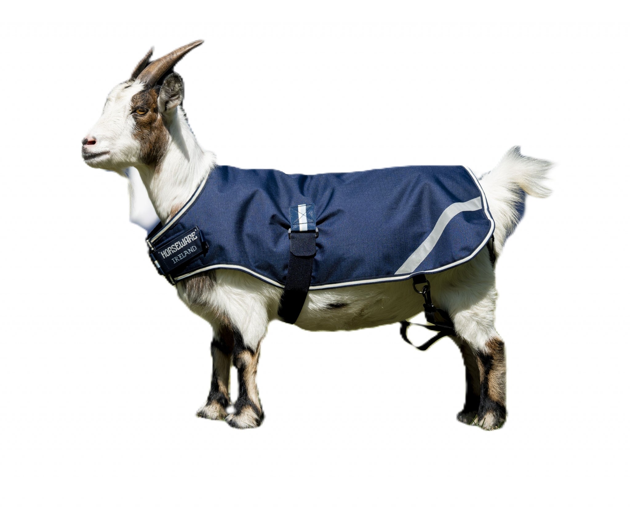 Horseware Goat Coat 100g– Horse.com