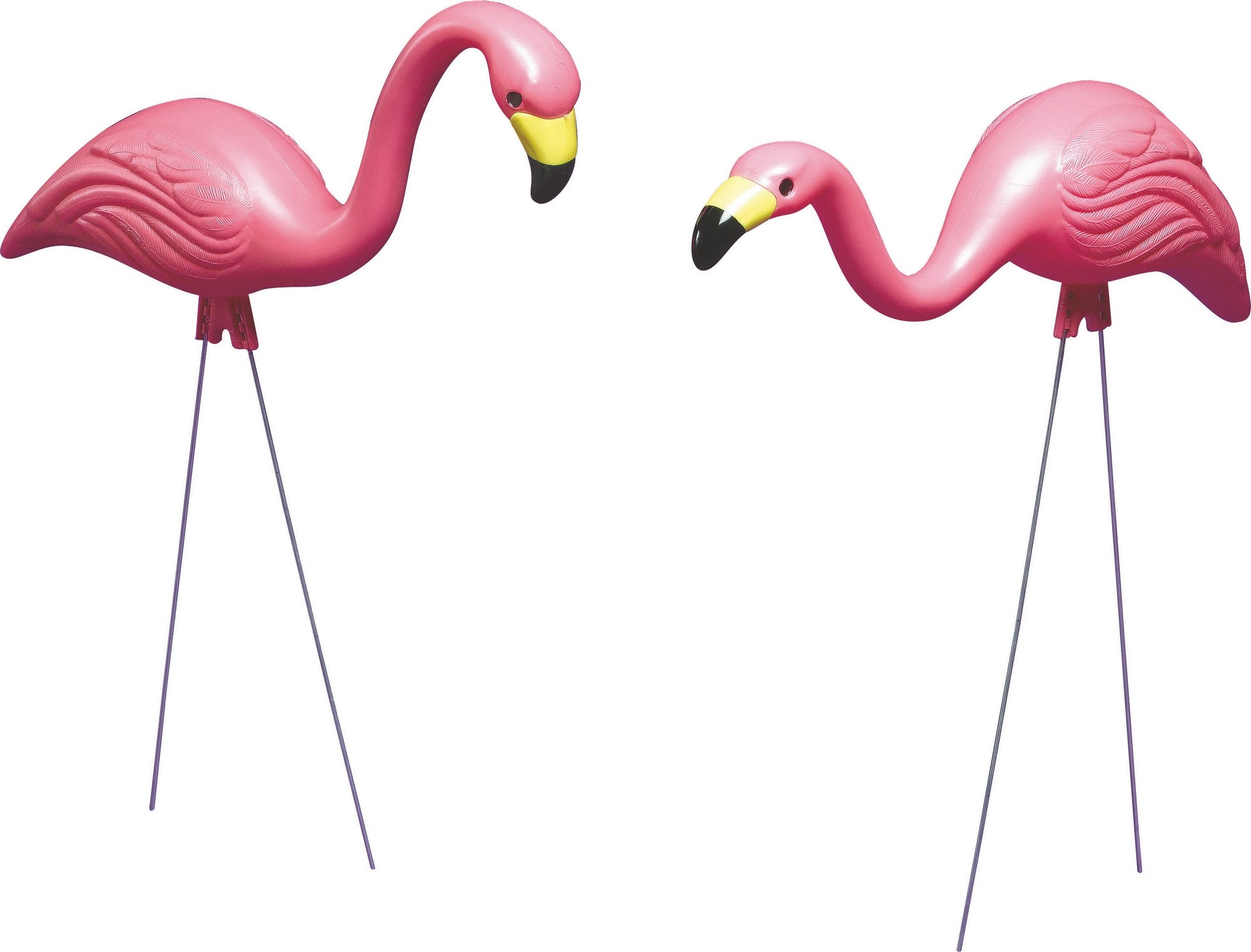 Bloem Pink Flamingos 2 Pack Pink– Horse.com