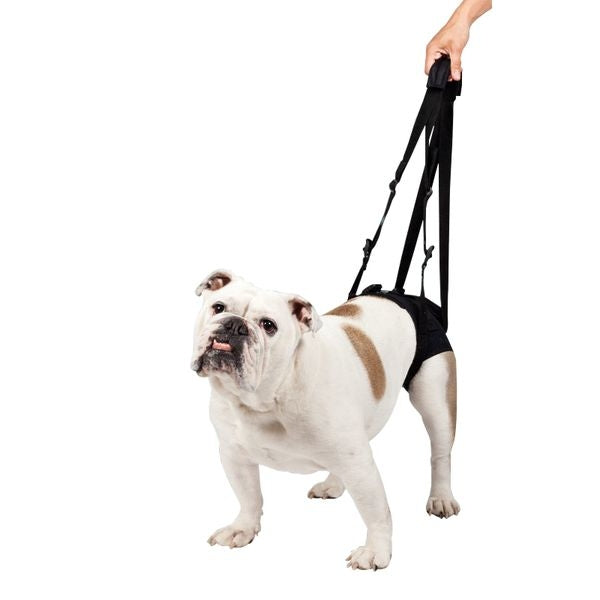 Lift Em Up Mobility Harness Rear– Horse.com