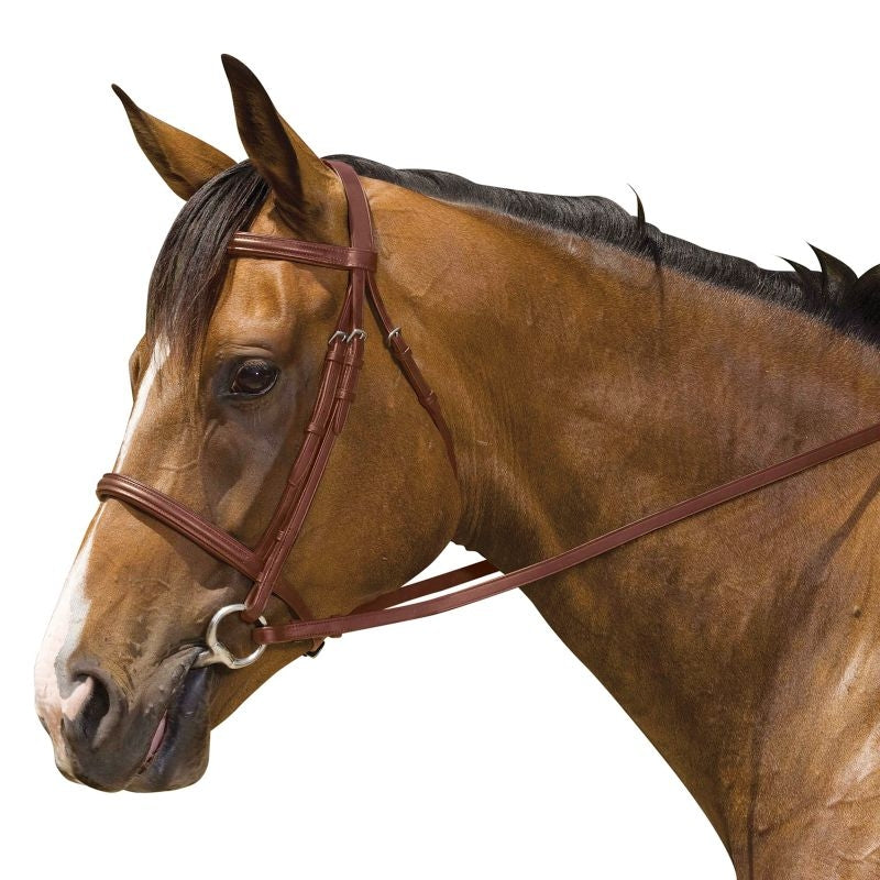 Kincade Padded Plain Raised Bridle– Horse.com