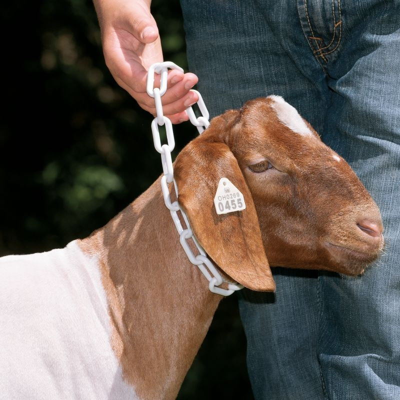 Weaver Plastic Goat Chains– Horse.com