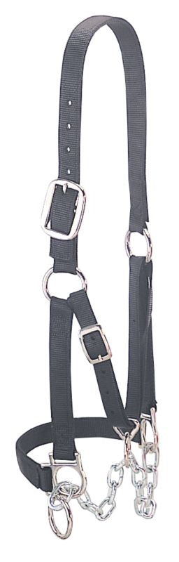 Heavy Duty Restraint Halter– Horse.com