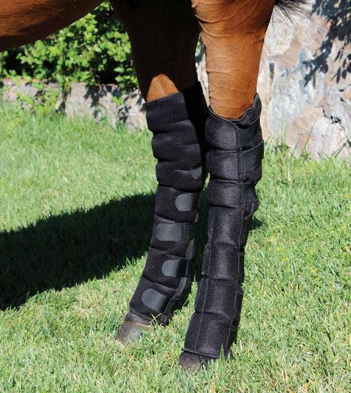 Professionals Choice Full Leg Ice Boot– Horse.com
