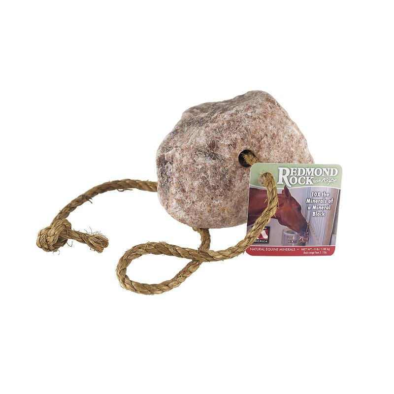 Redmond Rock on a Rope – Horse.com