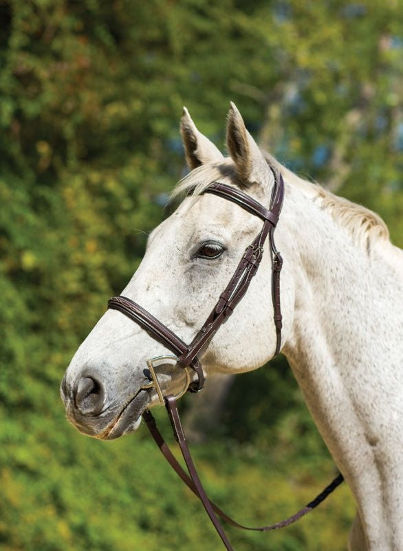 Shires Avignon Nashville Bridle– Horse.com