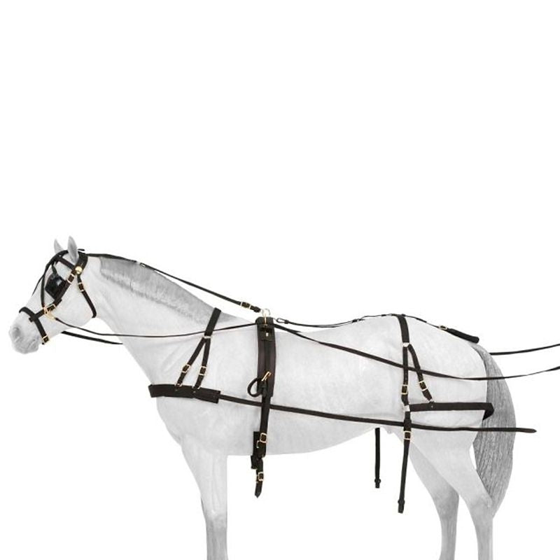 Tough1 Deluxe Nylon Driving Harness– Horse.com