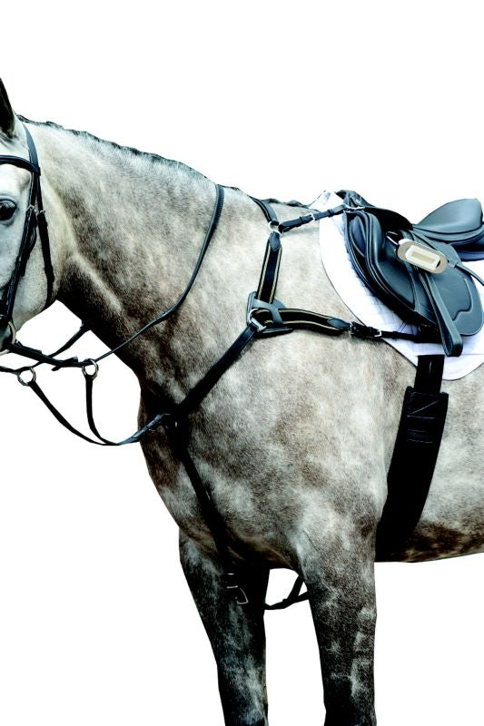 Collegiate Essential 5pt Breastplate– Horse.com