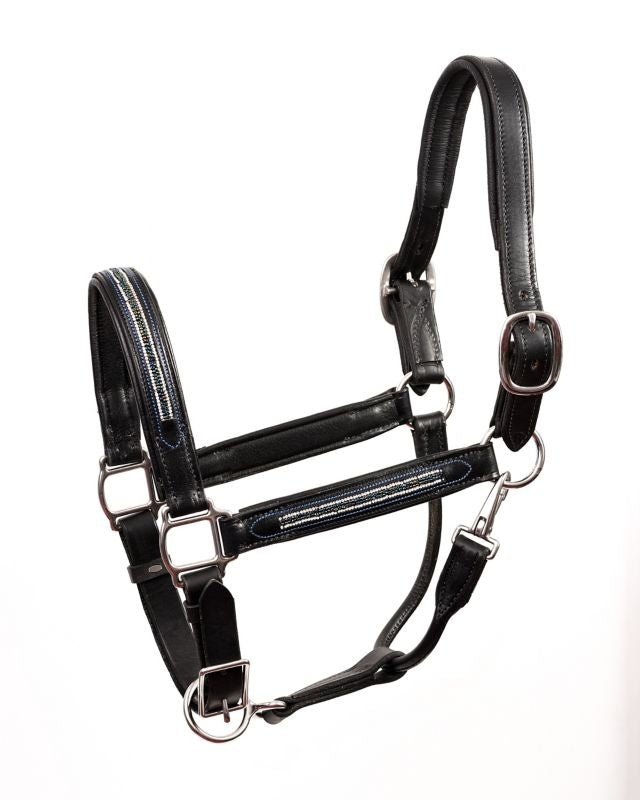 Perris Multi Bling Padded Halter– Horse.com
