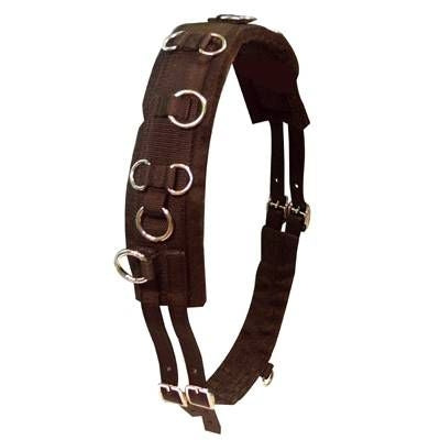 Miniature Surcingle Black– Horse.com