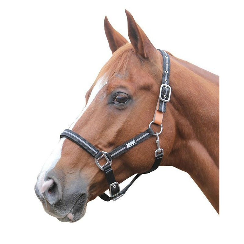 Roma Reflective Breakaway Halter – Horse.com