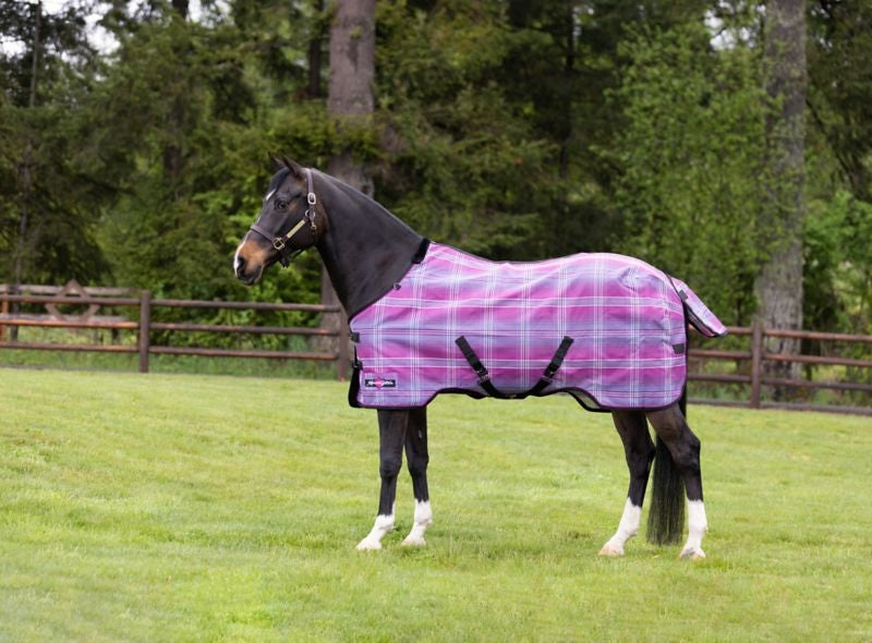 Kensington UV Protective Fly Sheet– Horse.com