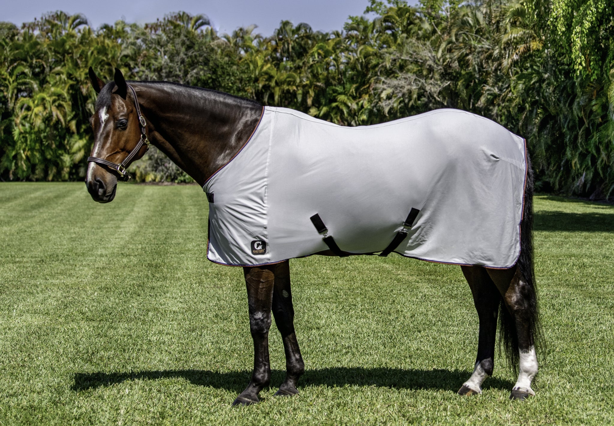 Gatsby Bug-Shield Fly Sheet– Horse.com