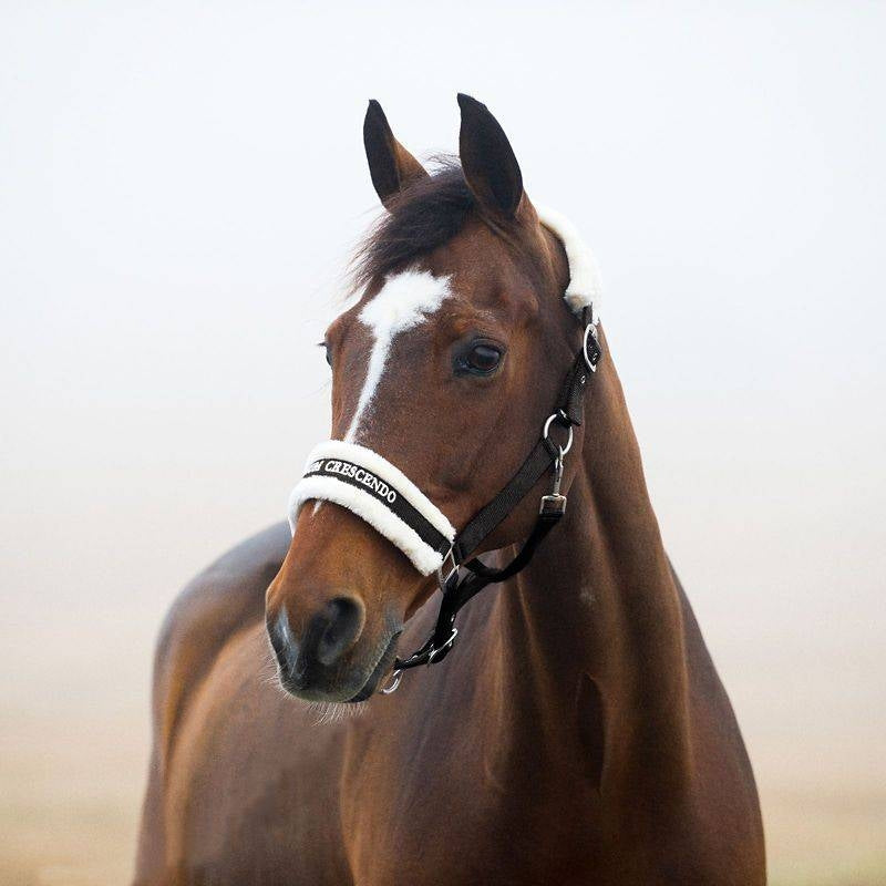 Horze Howard Halter– Horse.com