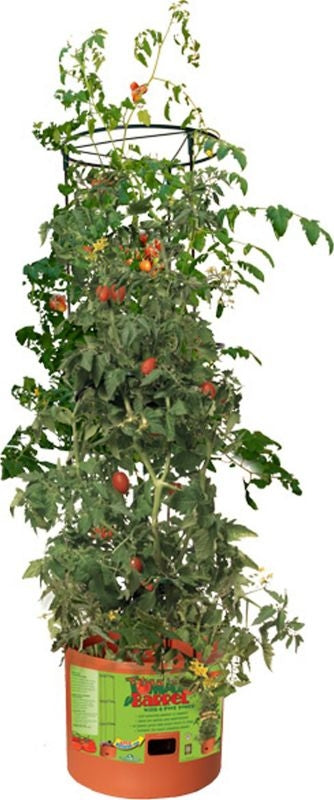 Tomato Barrel with Tower– Horse.com