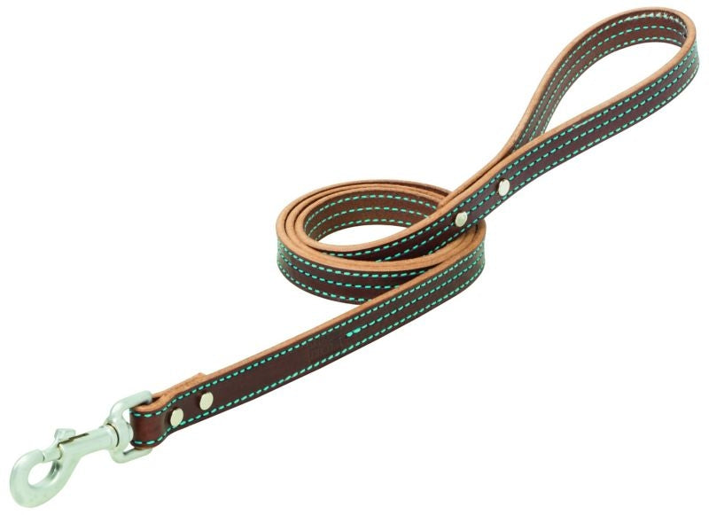 Weaver Terrain Dog Straight Leash– Horse.com