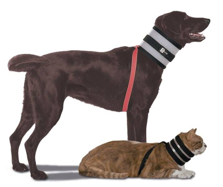 BiteNot Collar for Dogs and Cats 5 x 21– Horse.com