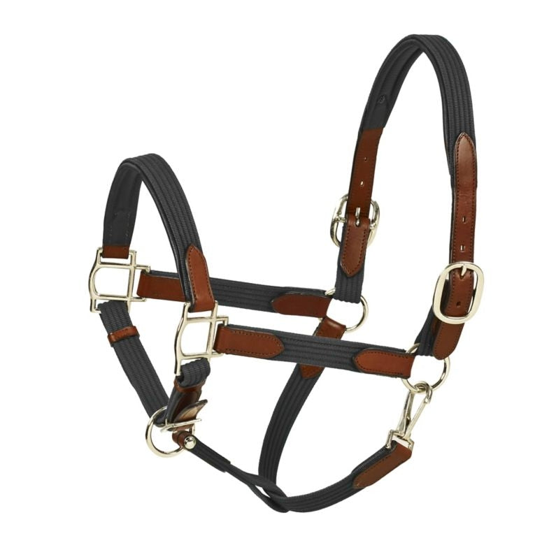 HK Americana Leather Padded Web Halter Full Black/– Horse.com