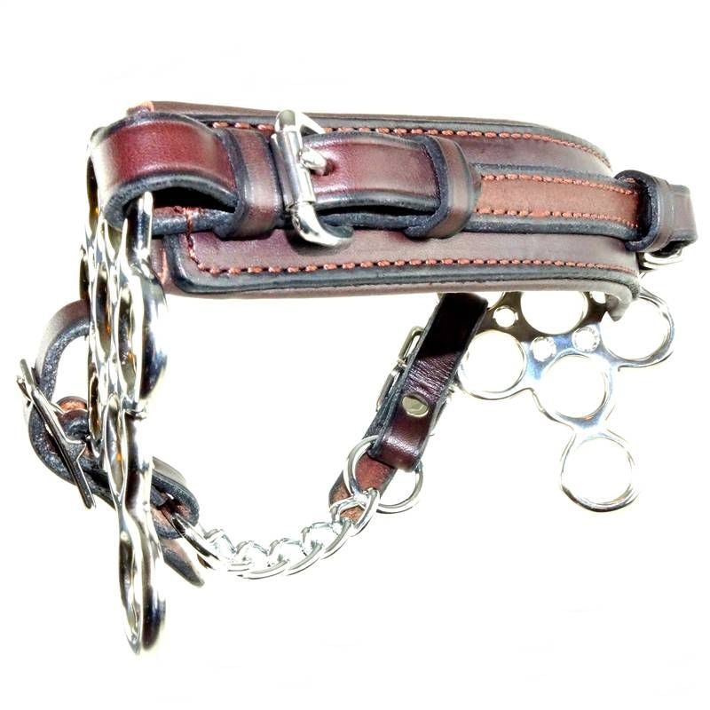 Nunn Finer Multiple Choice Hackamore– Horse.com