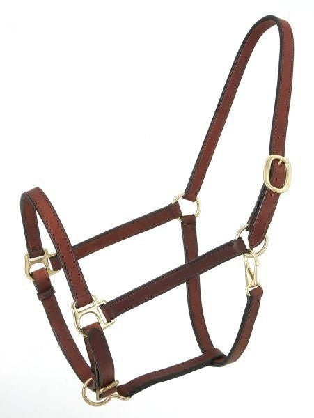 Royal King Narrow Leather Track Halter Horse – Horse.com