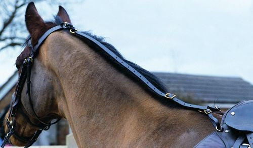 Daisy Rein - NylonBrn– Horse.com