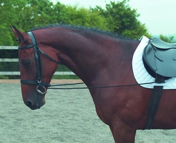 Elastic Training Rein 125 Black– Horse.com