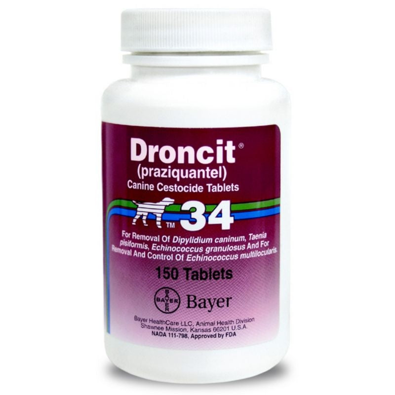 Droncit Tablet for Dogs– Horse.com