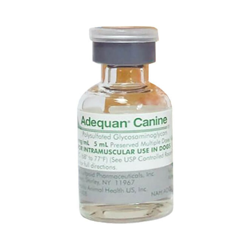 Canine Adequan Injection 5ml Vial– Horse.com