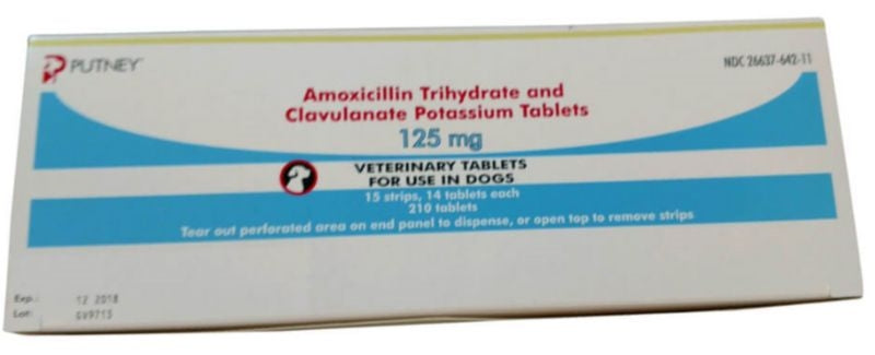 Clavacillin Tablet– Horse.com