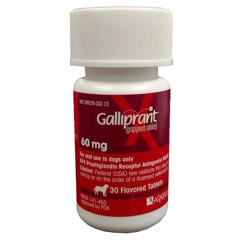 Galliprant Tablet– Horse.com