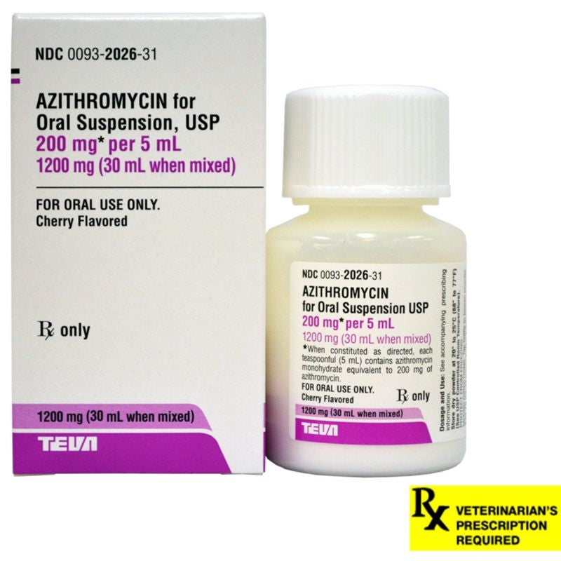Azithromycin 200mg/5ml Suspension 30ml– Horse.com