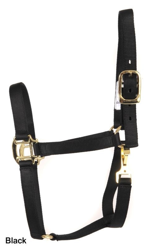 Deluxe 3-Ply Nylon Halter with Snap – Horse.com