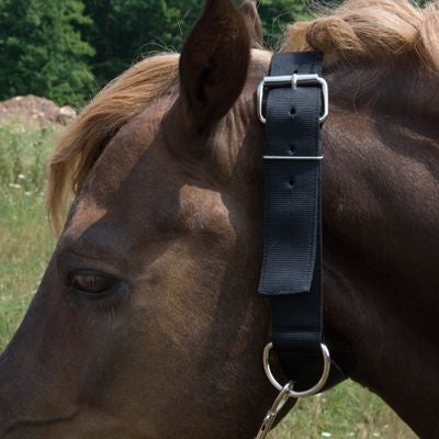 Hobbles, Picket Line Ties, Portable Corrals– Horse.com