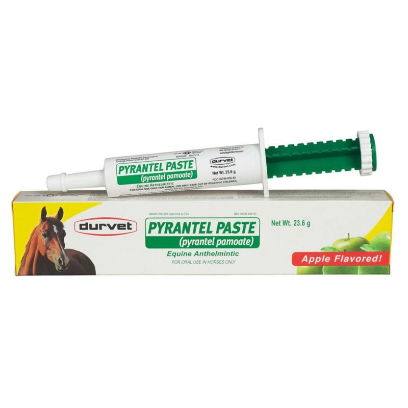 Pyrantel Pamoate Single Dose Paste Wormer 12-Pack – Horse.com
