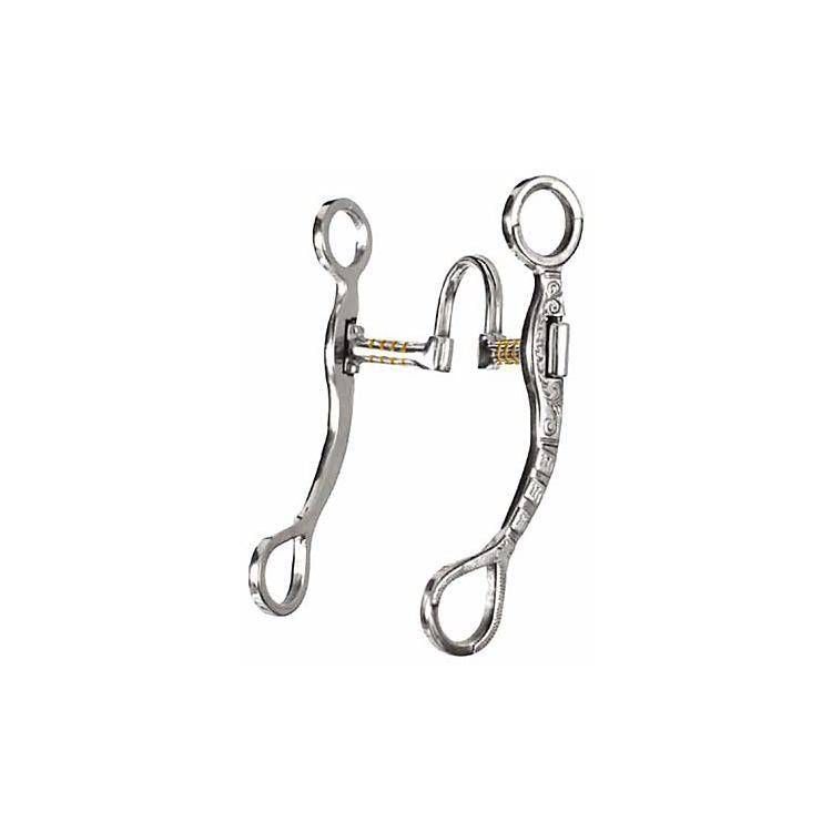 SS Engraved Silver Correction Show Bit– Horse.com